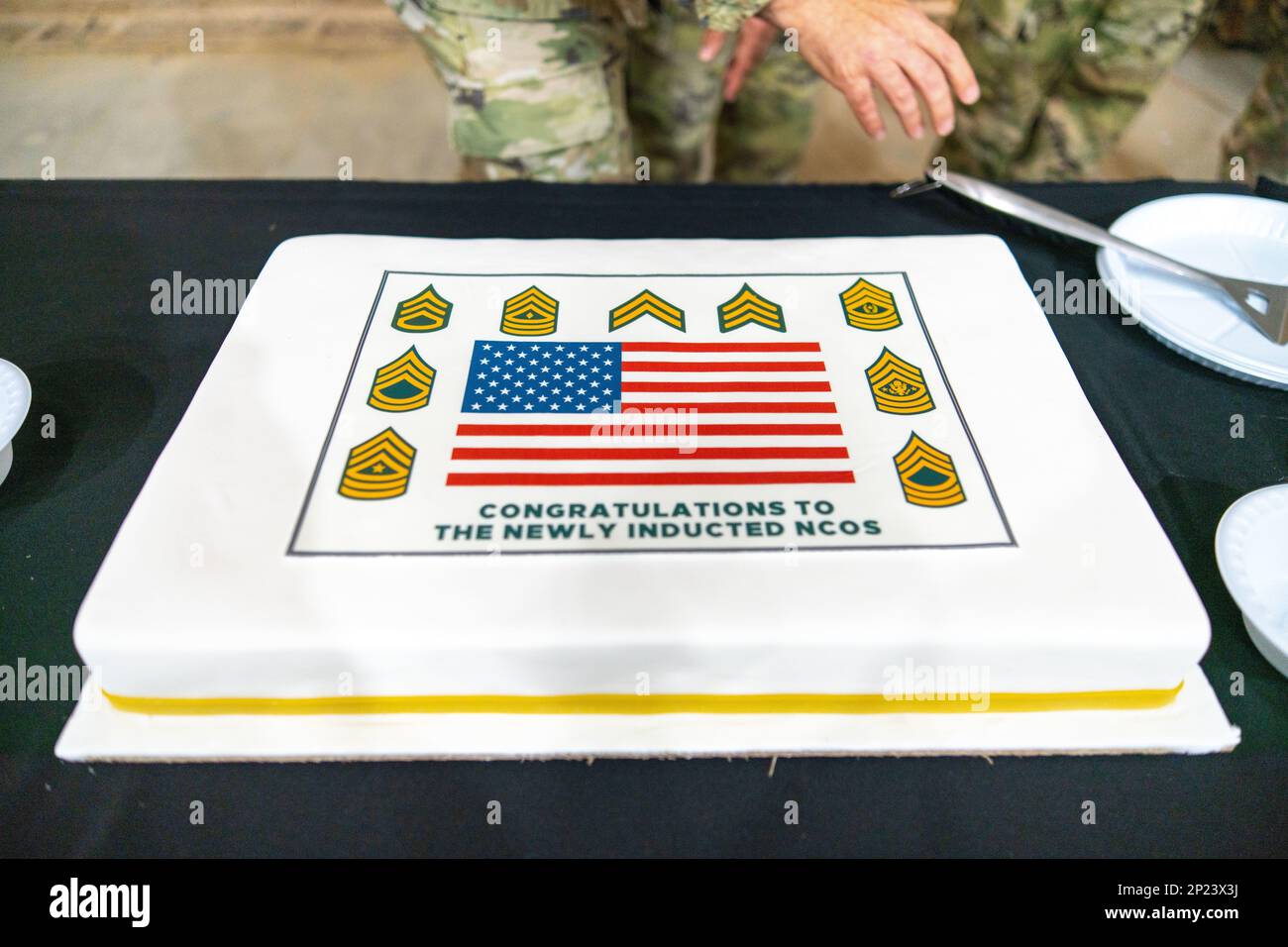 A cake made to congratulate U.S. Army non-commissioned officers on ...