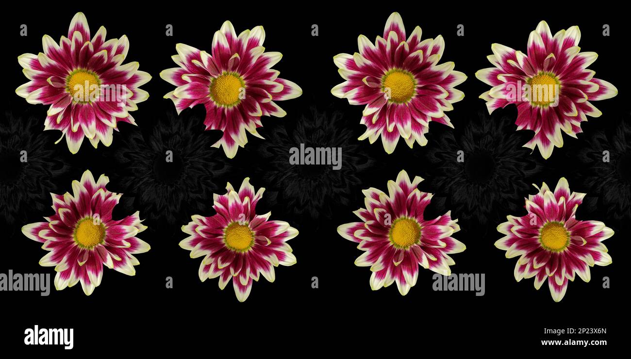 Digital Flower Art Pattern Stock Photo - Alamy