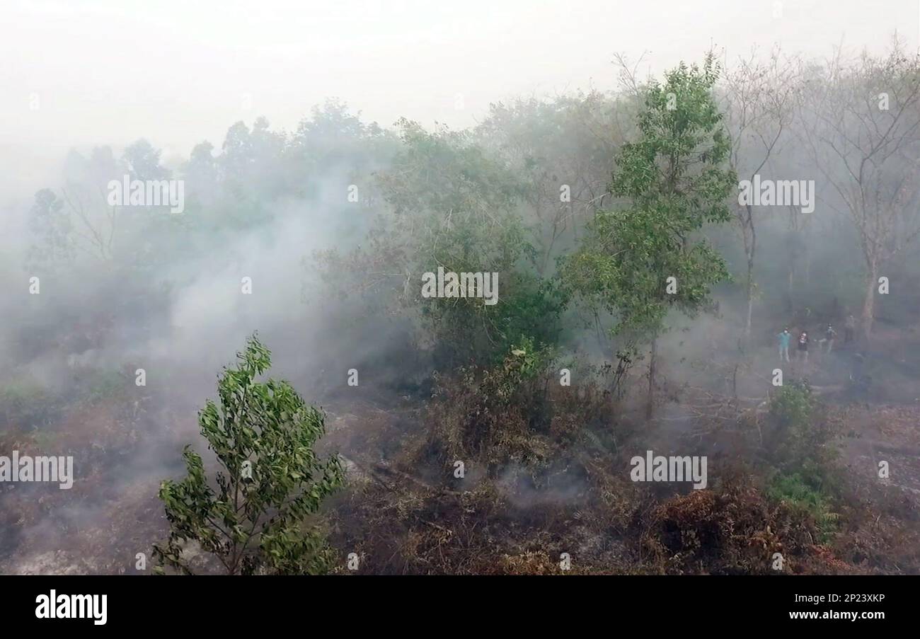 This undated aerial image made from video shows an area affected by ...