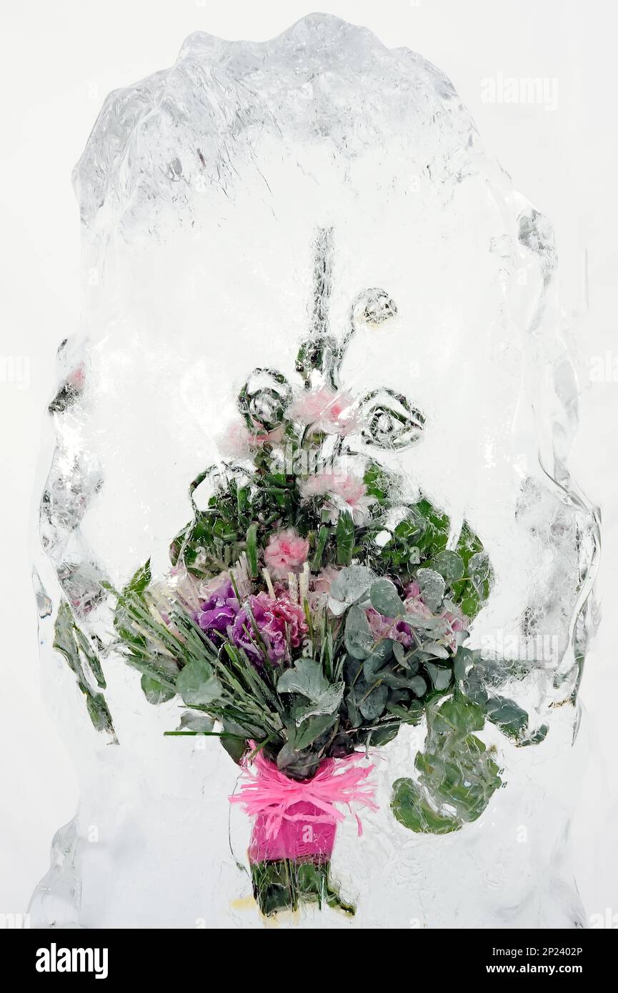 Frozen basement hi-res stock photography and images - Alamy