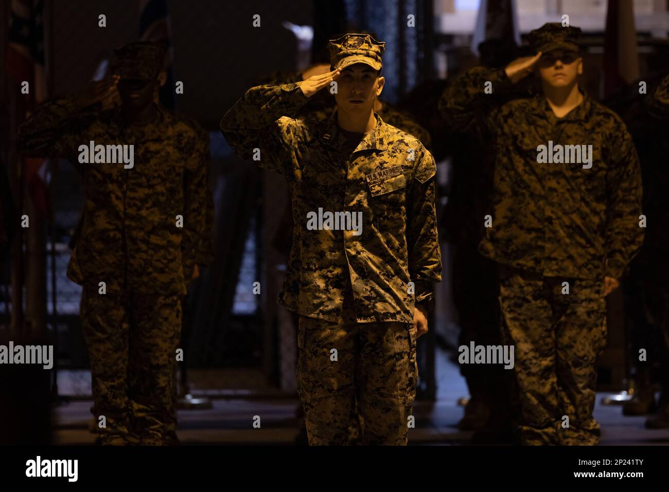 U.S. Marines with Marine Wing Support Squadron (MWSS) 172 salute for ...