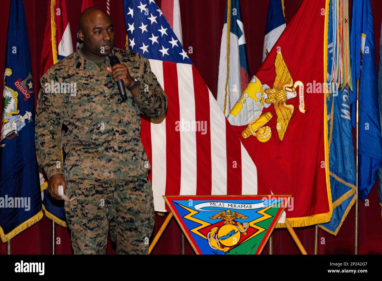 U.S. Marine Corps Sgt. Maj. Marquis L. Young, the new sergeant major of ...