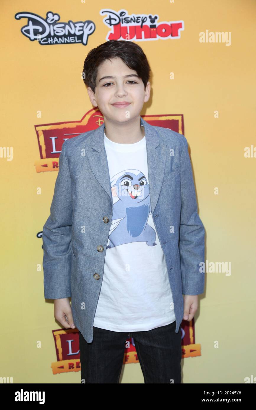 Photo by: JMA/STAR MAX/IPx11/14/15Joshua Rush at the premiere of Disney ...