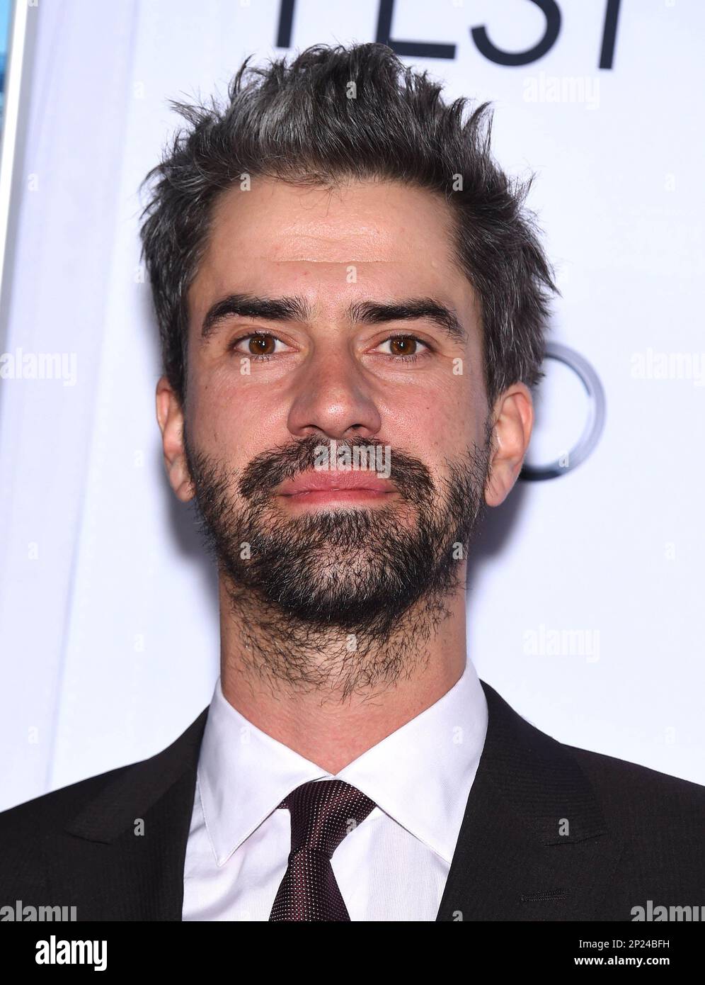 Photo by: KGC-11/STAR MAX/IPx11/12/15Hamish Linklater at The AFI Fest ...