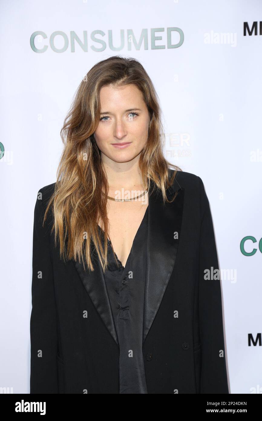 Photo by: JMA/STAR MAX/IPx11/11/15Grace Gummer at the premiere of ...