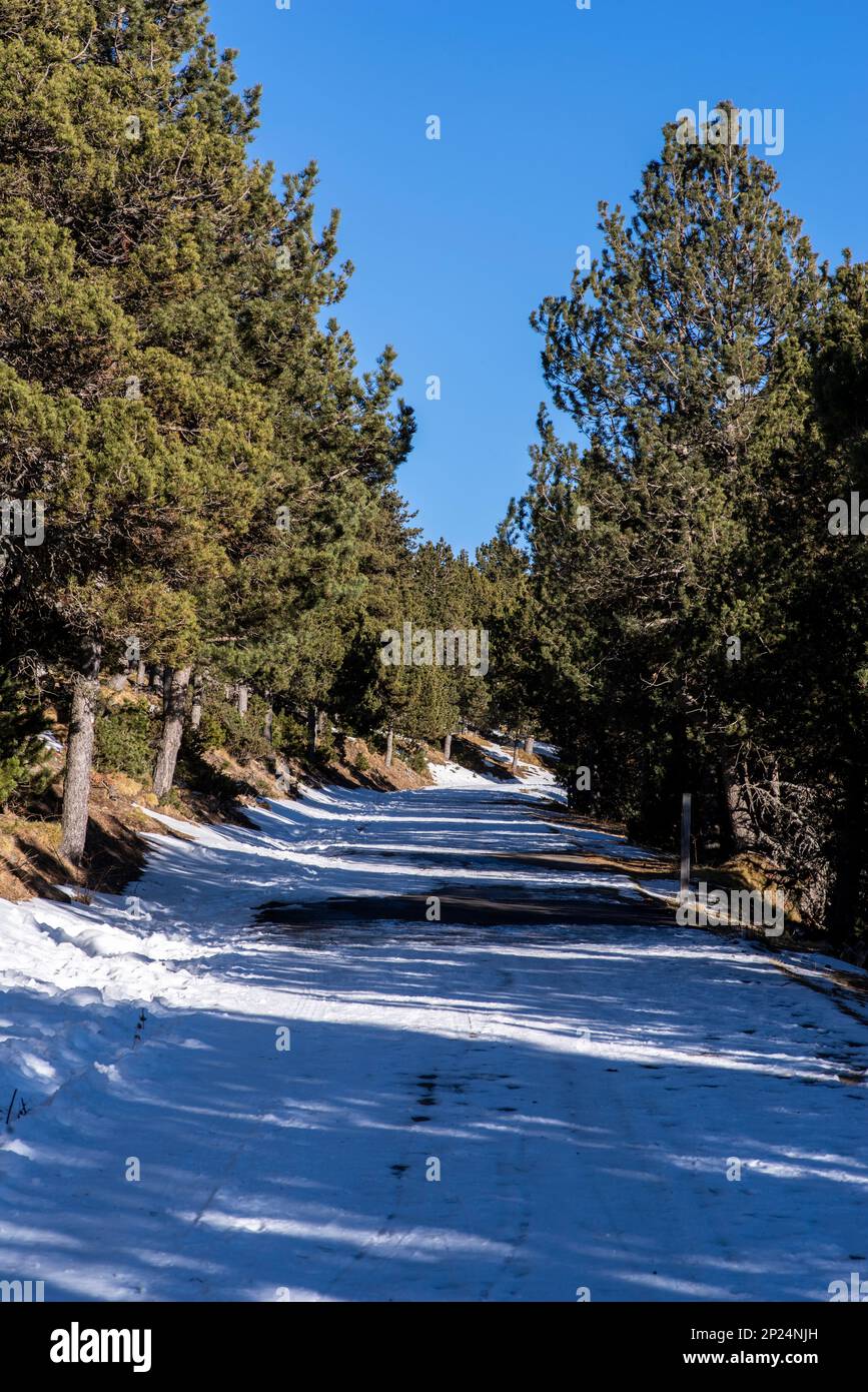 Cabeceras del Ter and Freser Natural Park, Girona,Spain Stock Photo - Alamy
