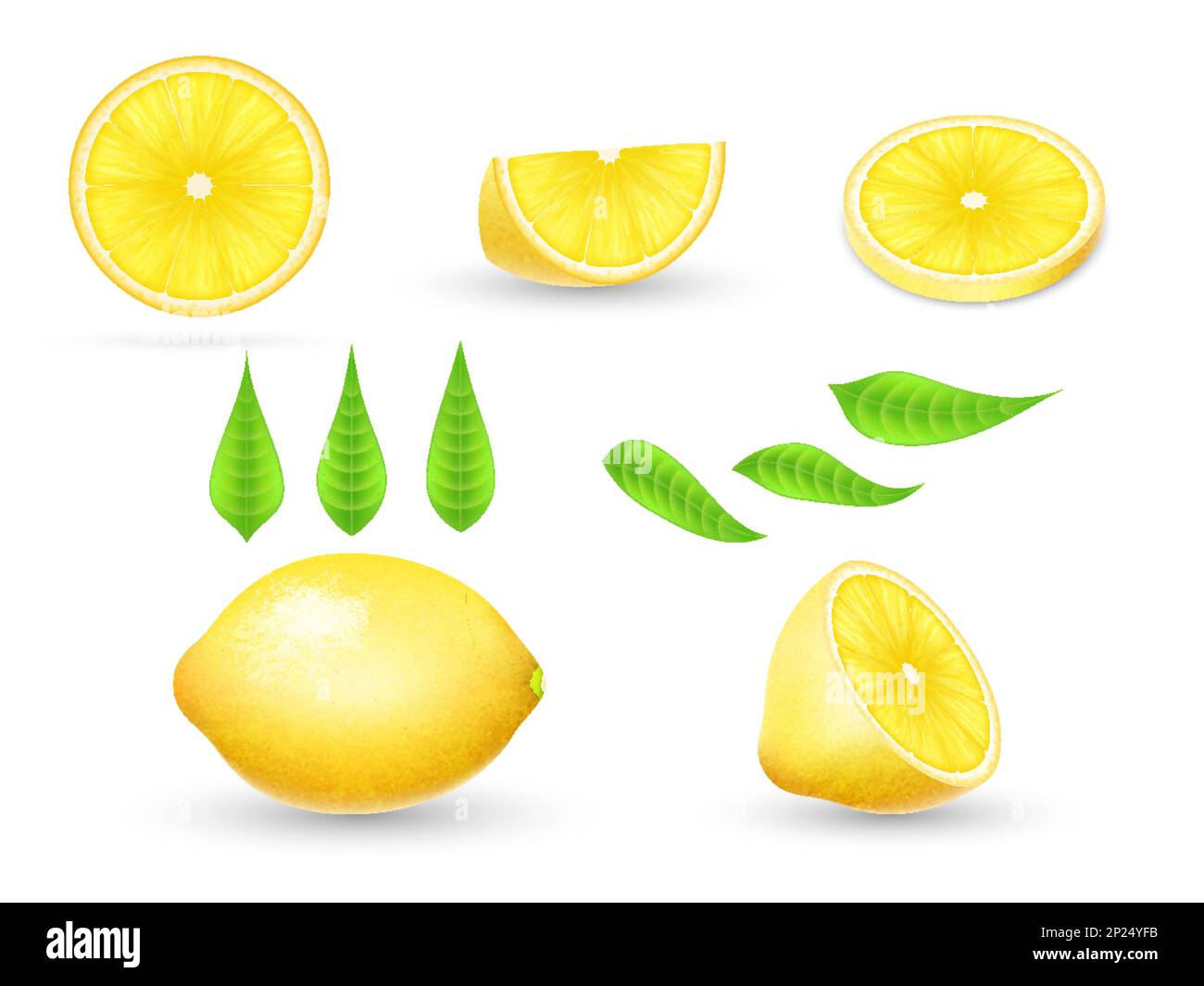 3d lemon slice, half and whole, green leaf, lemonade ingredient. Fruit ...