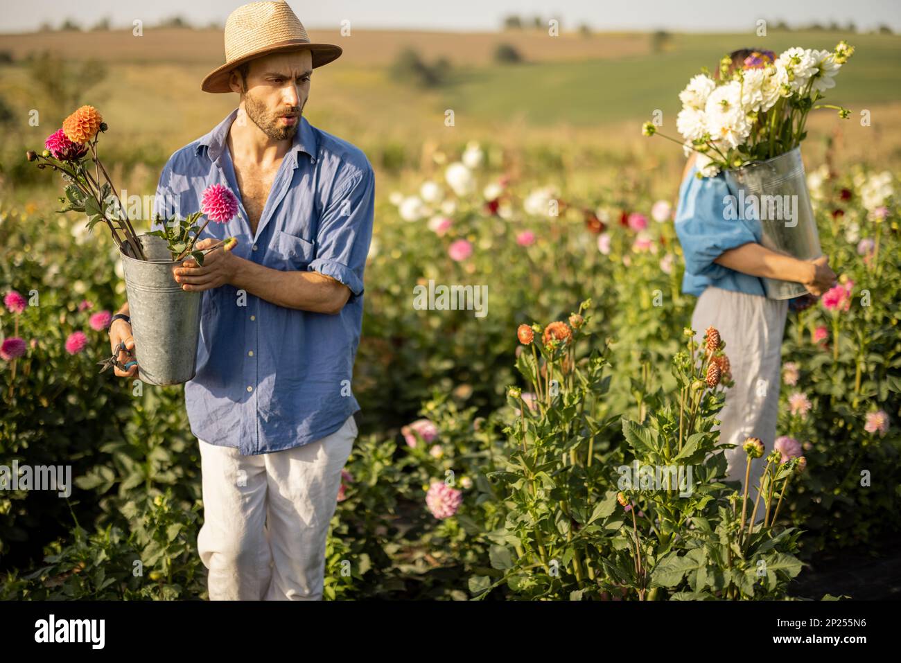 Man and woman pick up flowers at farm outdoors Stock Photo - Alamy