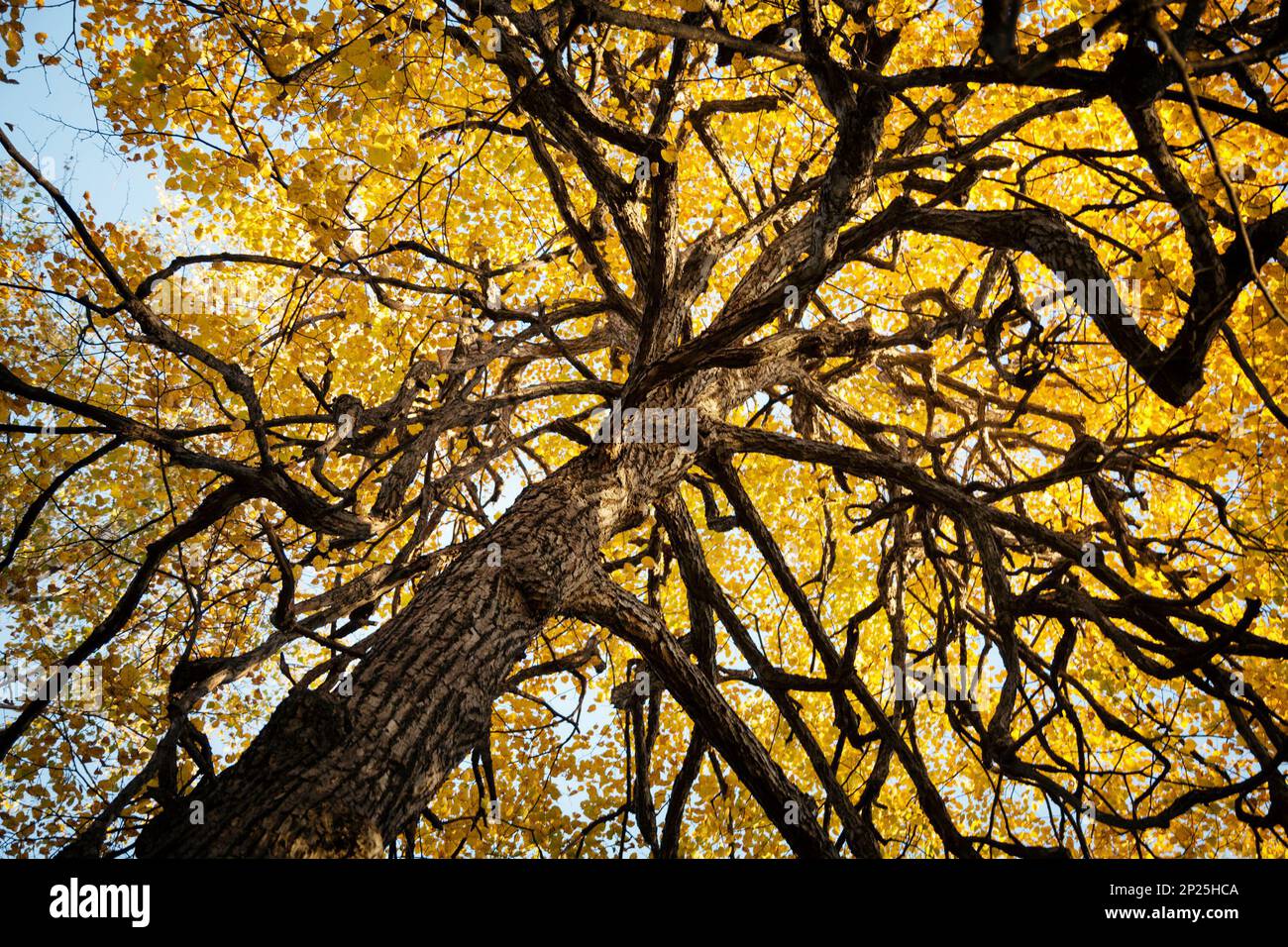 Bright twisted pattern hi-res stock photography and images - Alamy