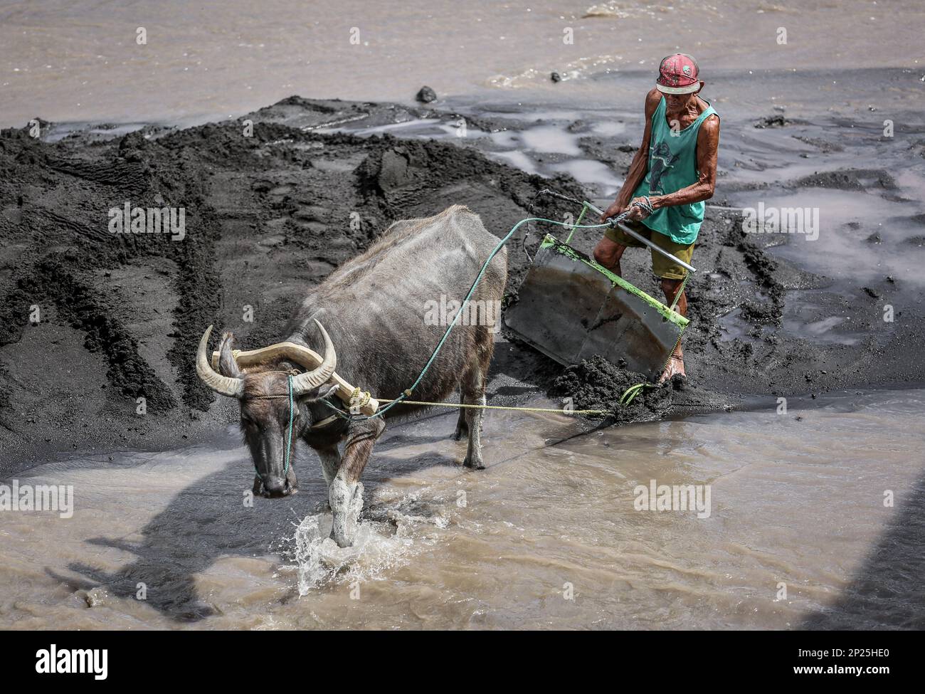 Filipino man clears the river stream bed overgrown with ashes from the ...