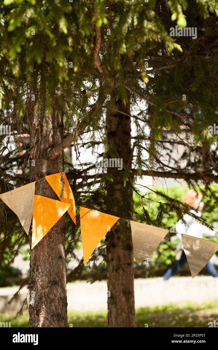 Fir tree branches in a park decorated with a colorful garland. Festive ...