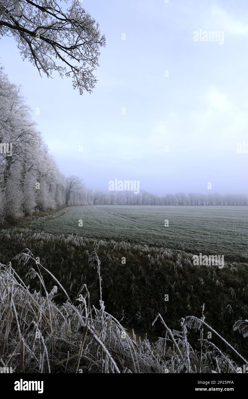 Cambridgeshire fens winter hi-res stock photography and images - Alamy