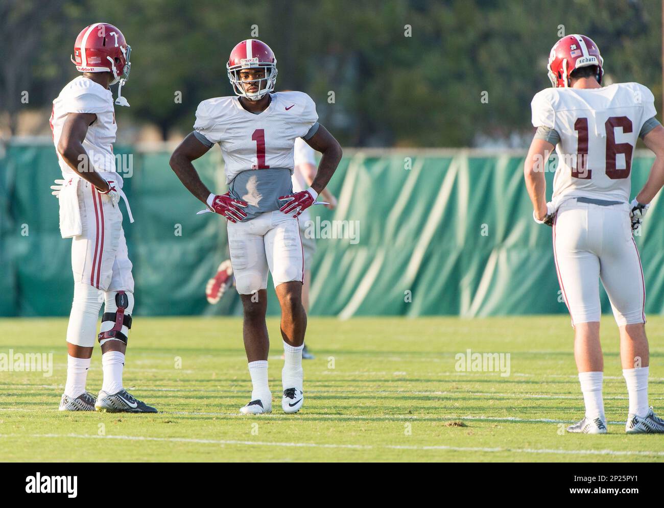 Alabama wide receivers Cam Sims (7), Chris Black (1) and Richard ...