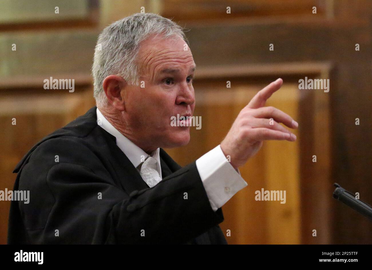 Defence lawyer Barry Roux, addresses the Supreme Court of Appeal in ...