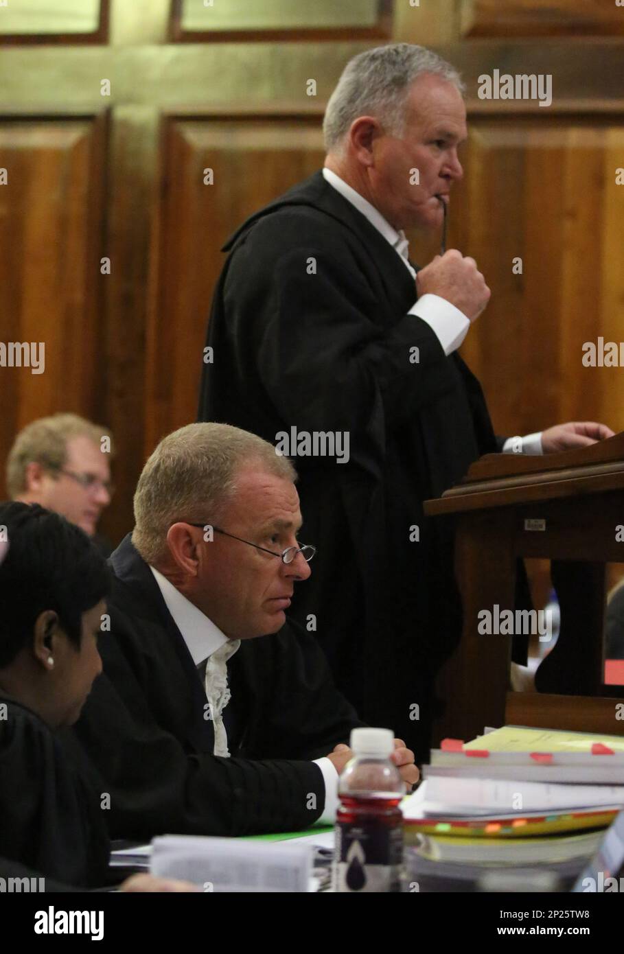 Defence lawyer Barry Roux, standing, speaks in the Supreme Court of ...