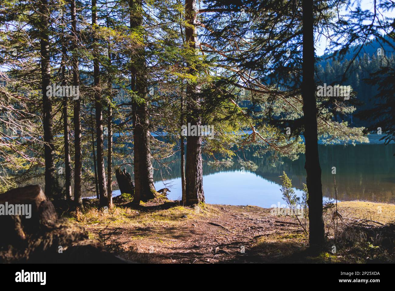 Beautiful view of Black lake, Crno Jezero in Durmitor National Park ...