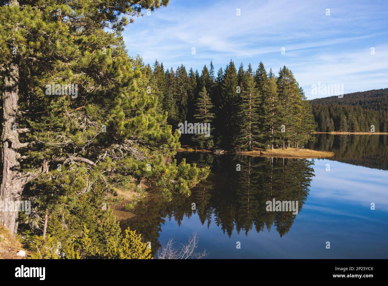 Beautiful view of Black lake, Crno Jezero in Durmitor National Park ...