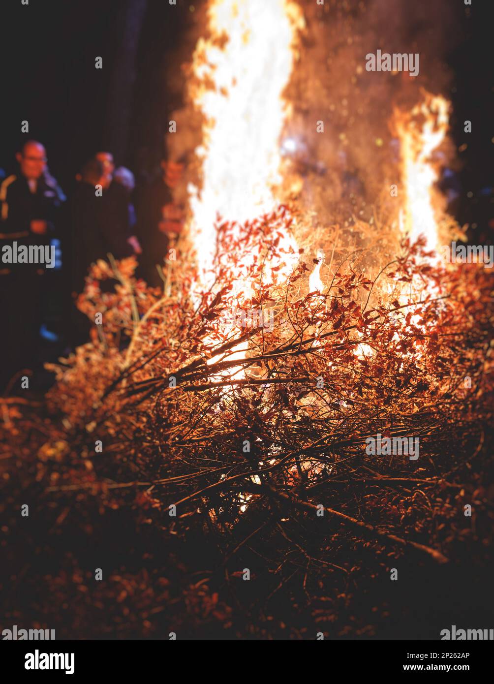 Orthodox Christmas celebration in Montenegro and Serbia, process of ...