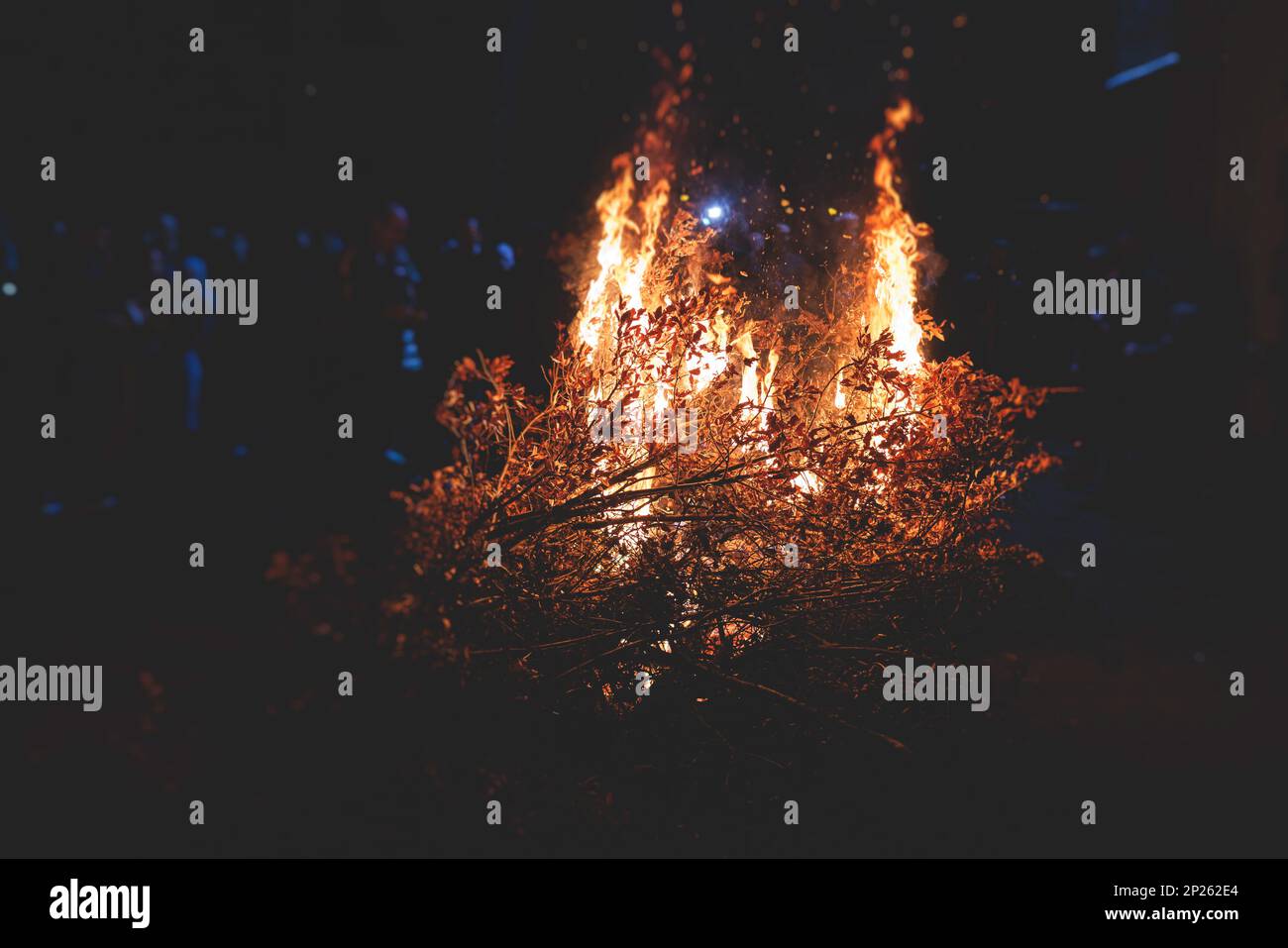 Orthodox Christmas celebration in Montenegro and Serbia, process of ...