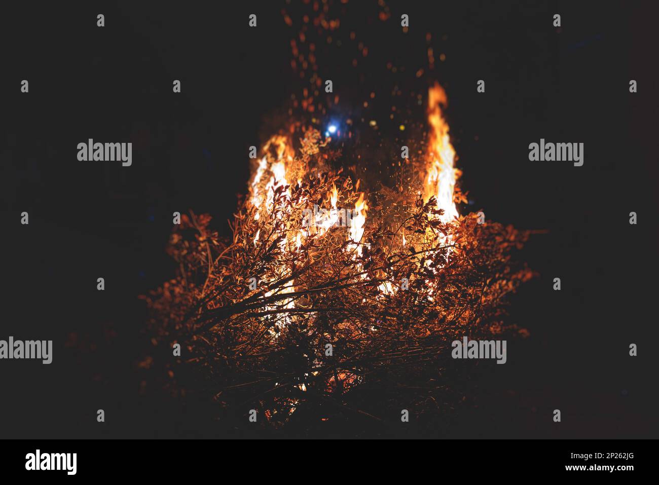 Orthodox Christmas celebration in Montenegro and Serbia, process of ...