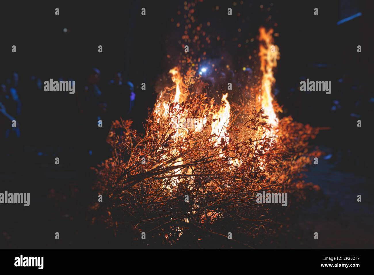 Orthodox Christmas celebration in Montenegro and Serbia, process of ...