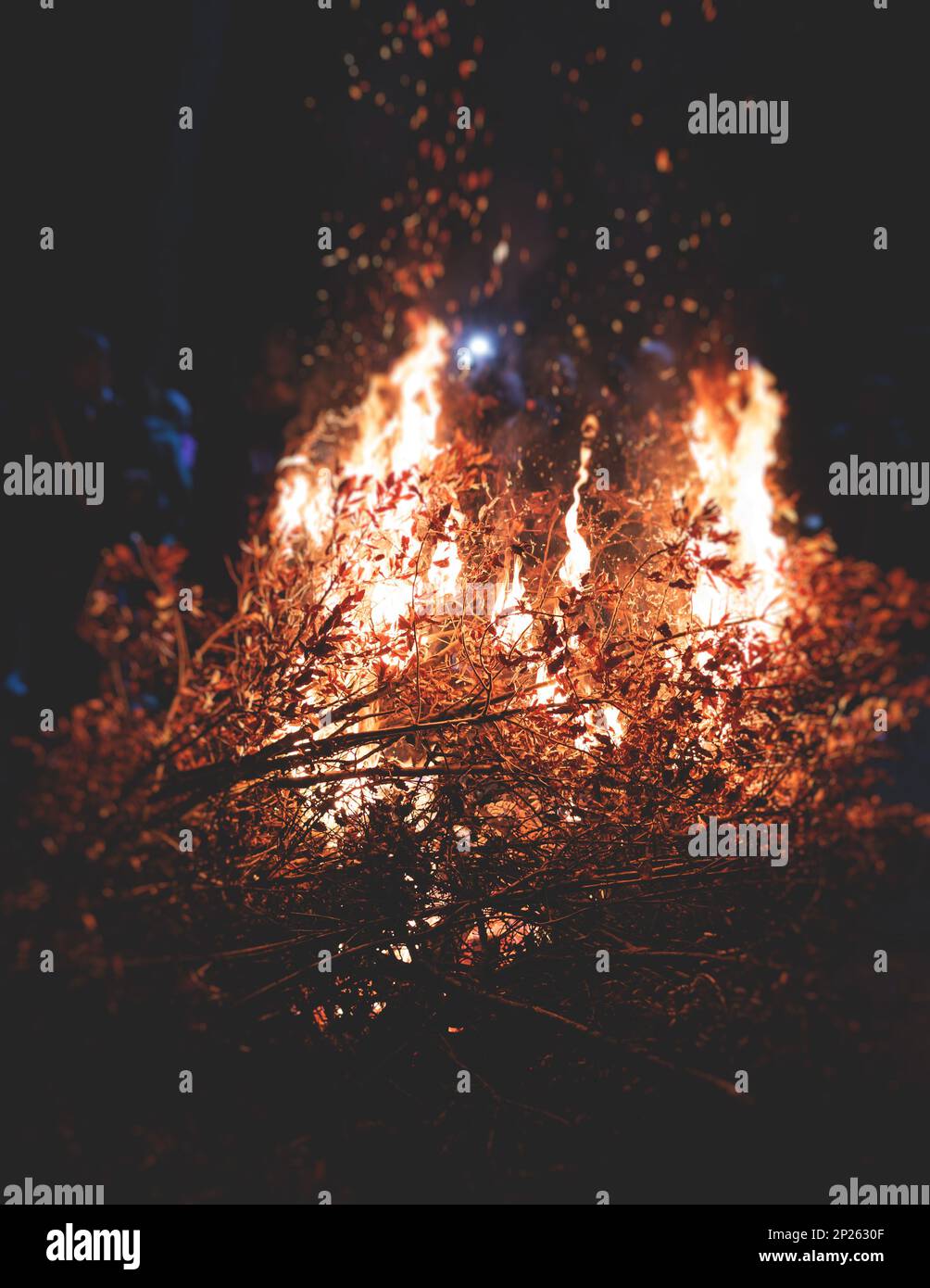 Orthodox Christmas celebration in Montenegro and Serbia, process of ...