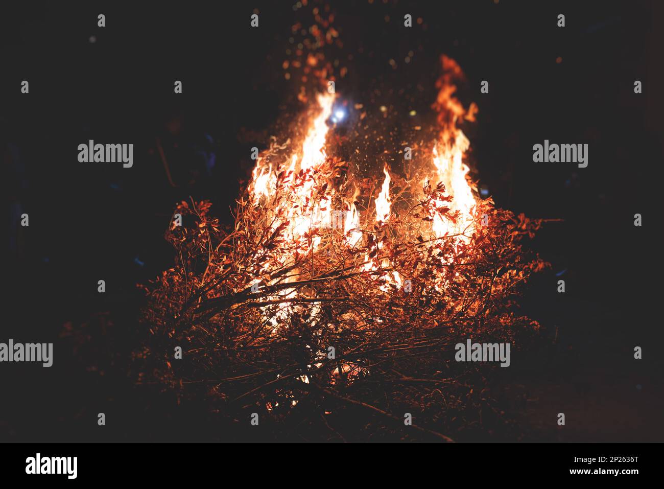 Orthodox Christmas celebration in Montenegro and Serbia, process of ...