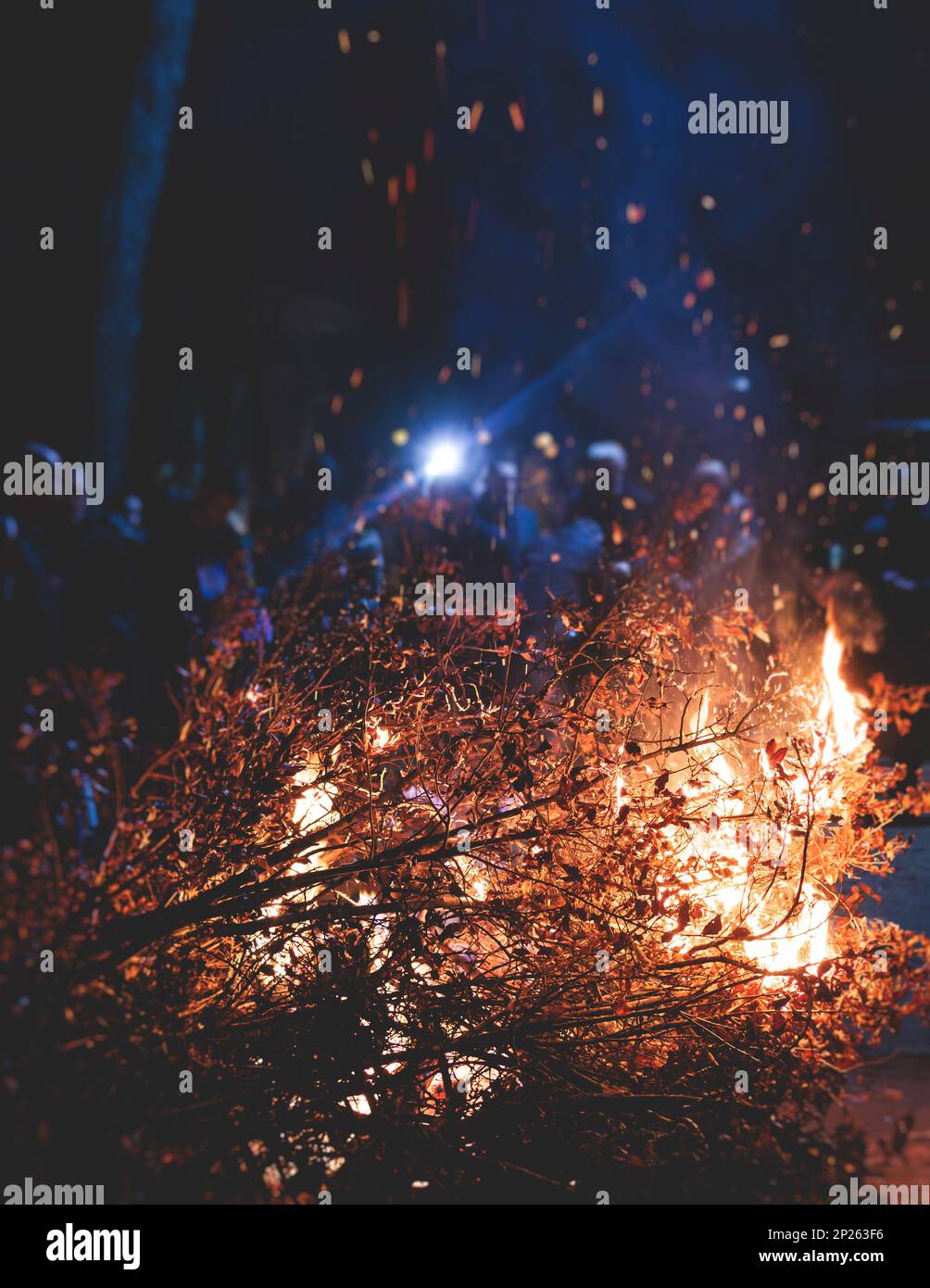 Orthodox Christmas celebration in Montenegro and Serbia, process of ...