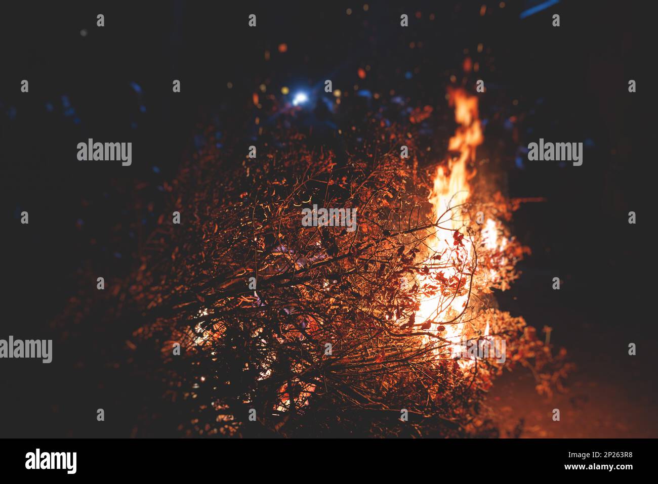 Orthodox Christmas celebration in Montenegro and Serbia, process of ...