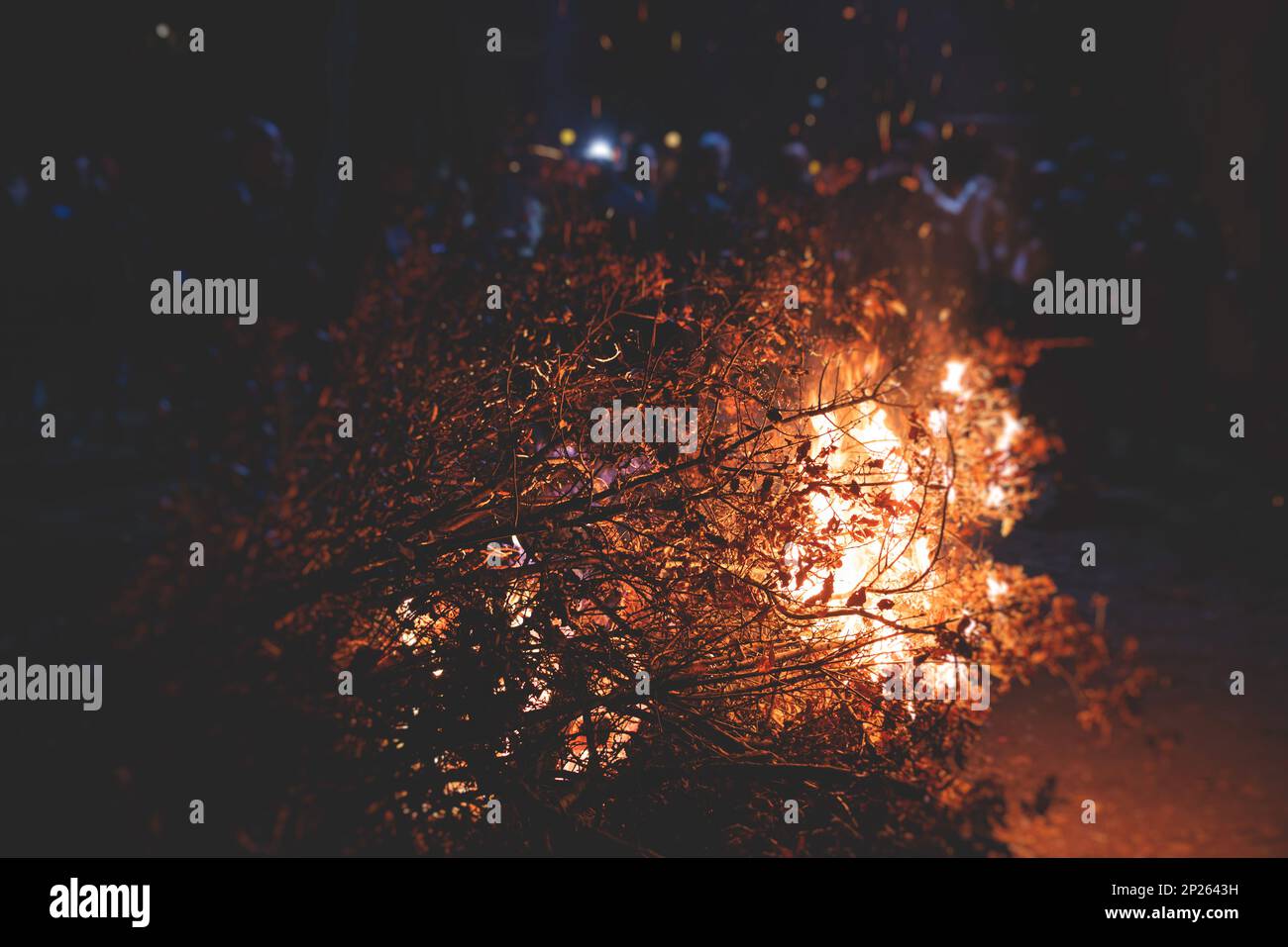 Orthodox Christmas celebration in Montenegro and Serbia, process of ...