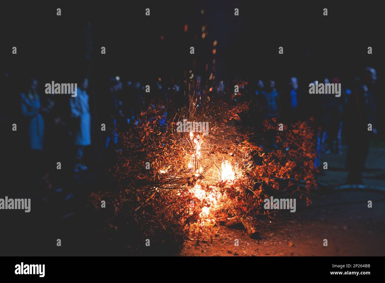 Orthodox Christmas celebration in Montenegro and Serbia, process of ...