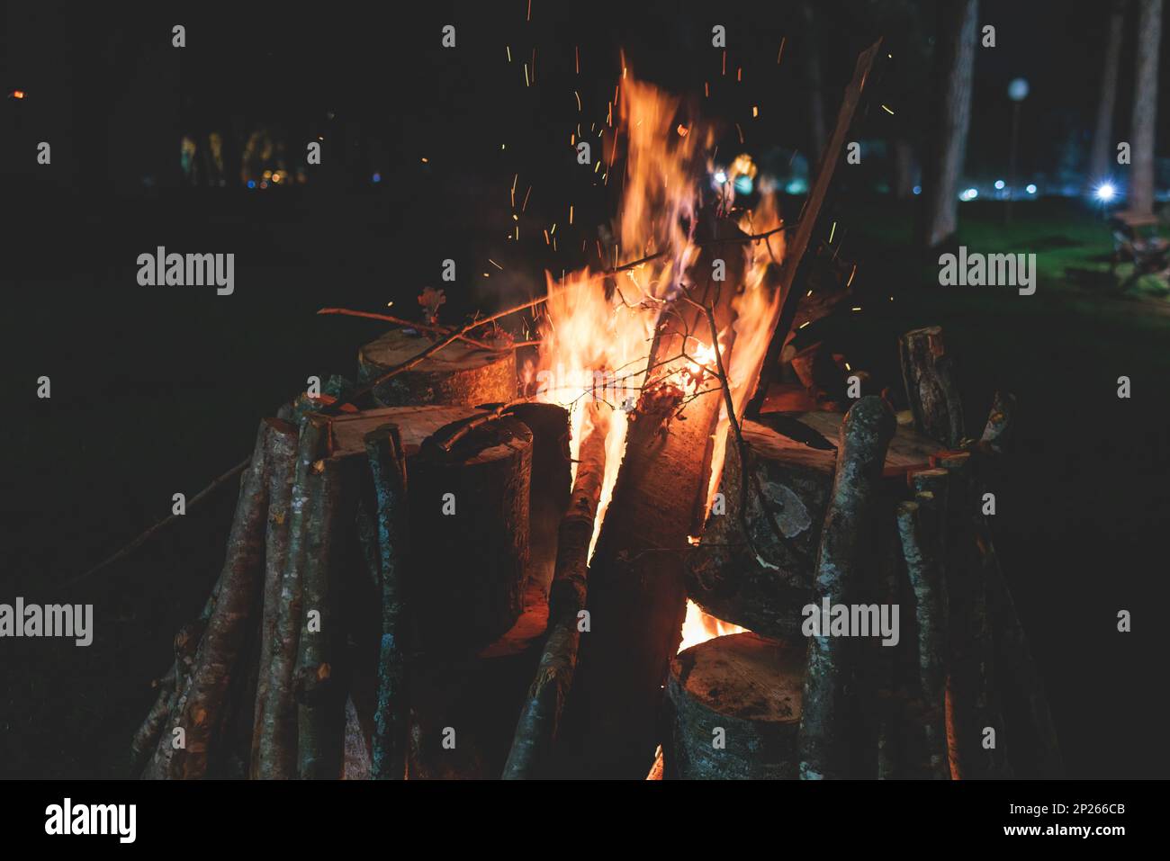 Orthodox Christmas celebration in Montenegro and Serbia, process of ...