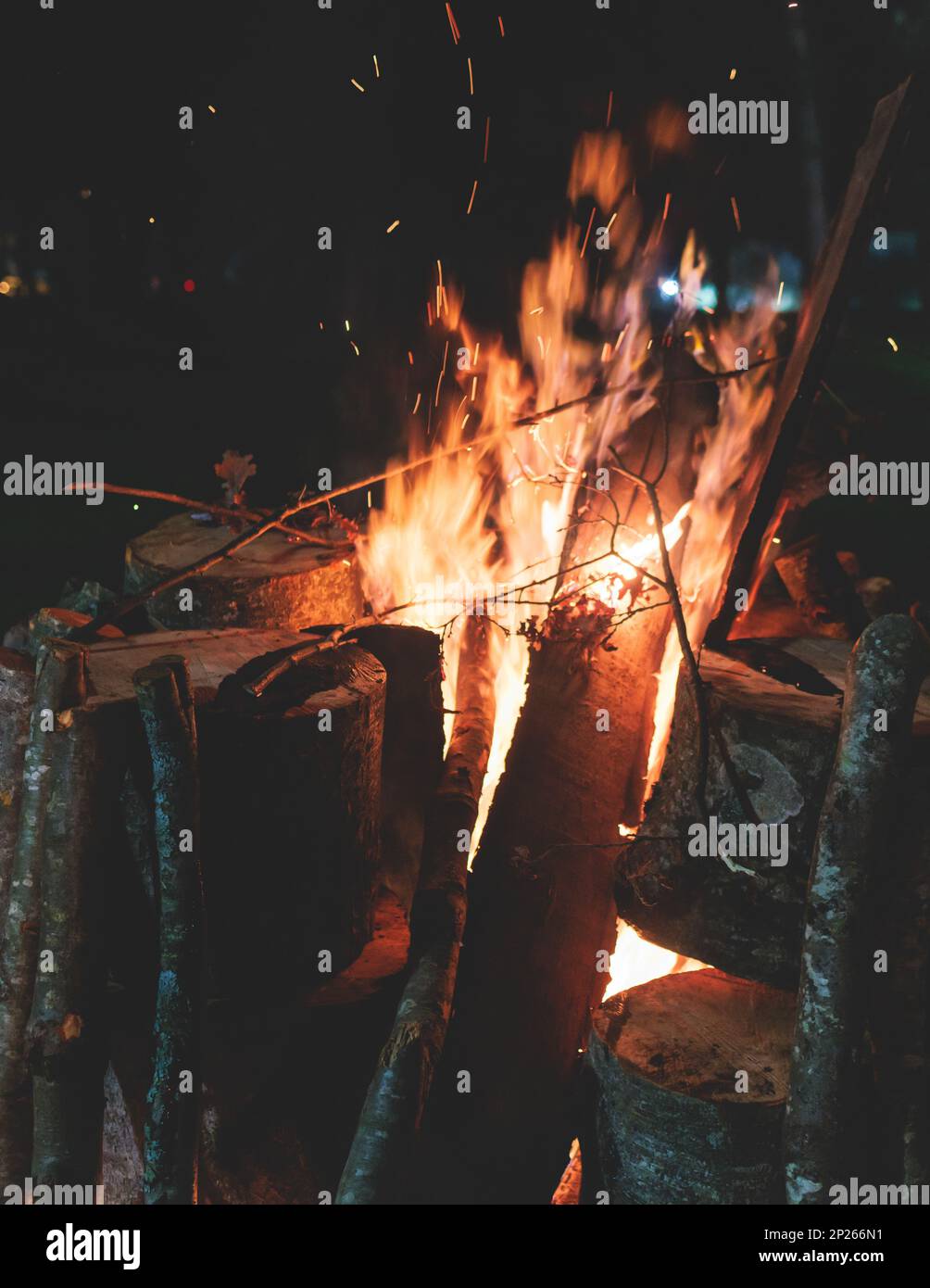 Orthodox Christmas celebration in Montenegro and Serbia, process of ...