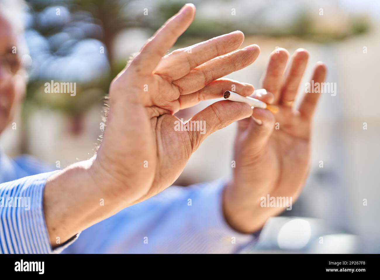Senior man breaking cigarette at park Stock Photo - Alamy