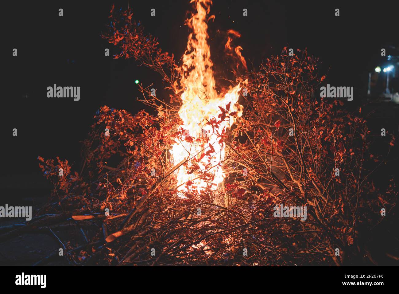 Orthodox Christmas celebration in Montenegro and Serbia, process of ...