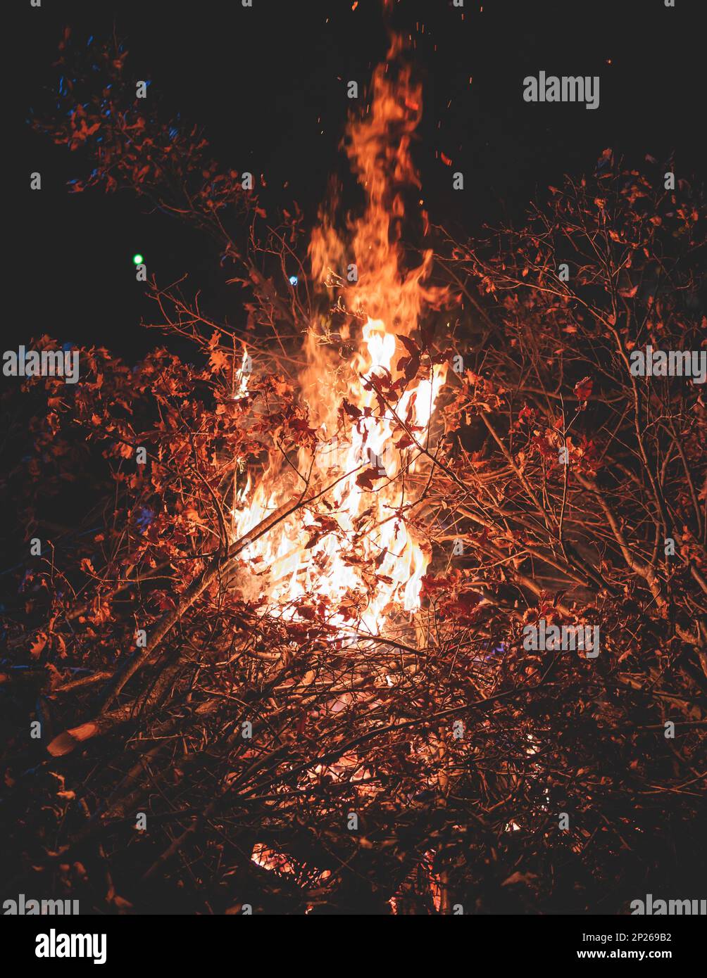 Orthodox Christmas celebration in Montenegro and Serbia, process of ...