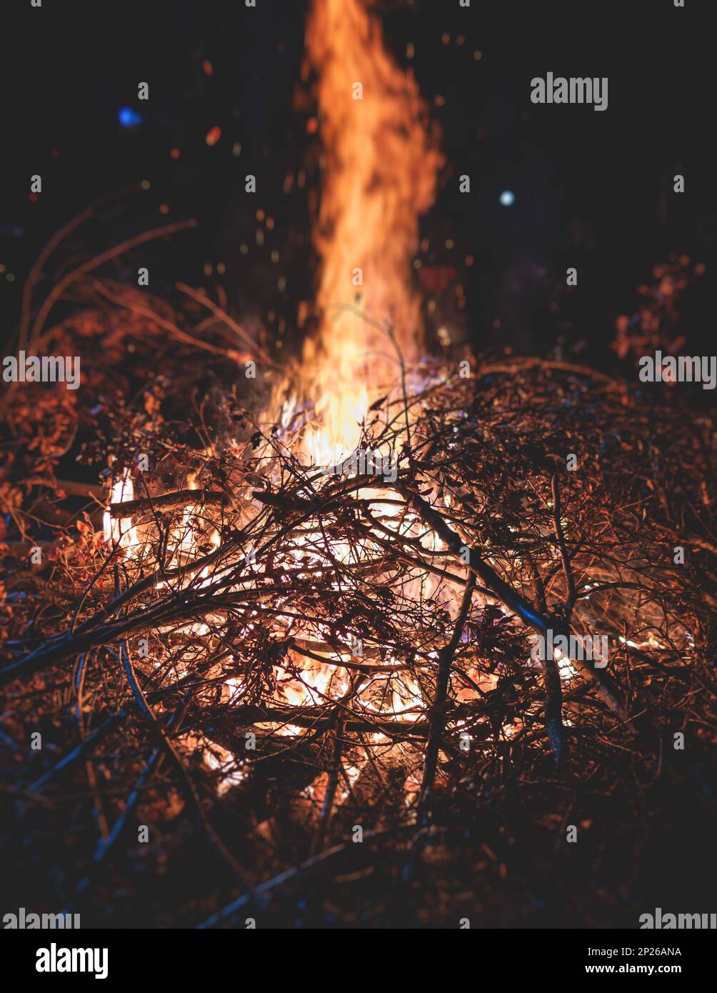 Orthodox Christmas celebration in Montenegro and Serbia, process of ...