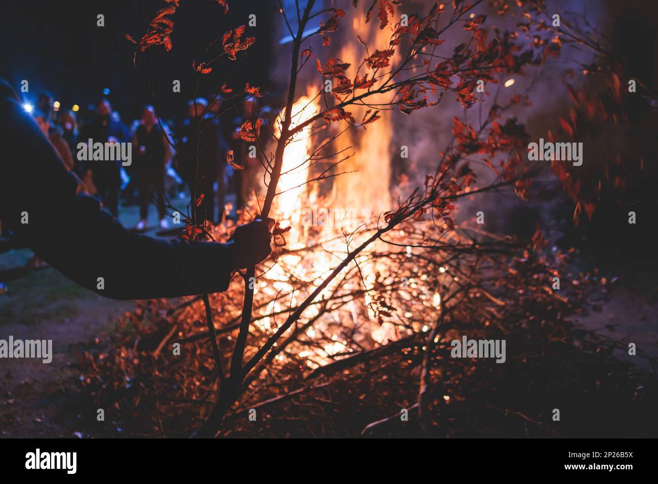 Orthodox Christmas celebration in Montenegro and Serbia, process of ...