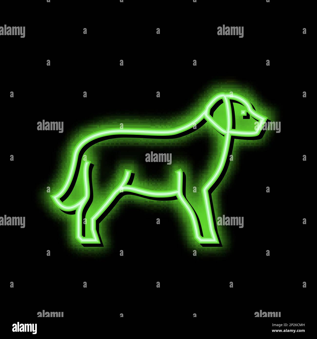 golden retriever dog neon glow icon illustration Stock Vector Image ...