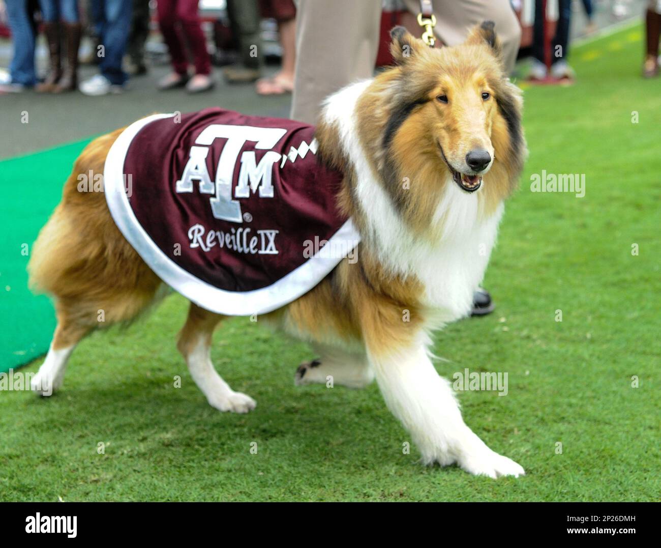 October 31, 2015: Reveille IX enters the field before the South ...