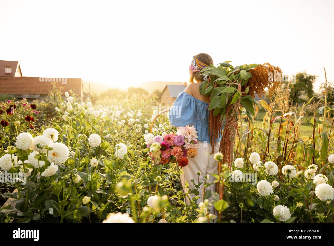 Carry lots of flowers hi-res stock photography and images - Alamy