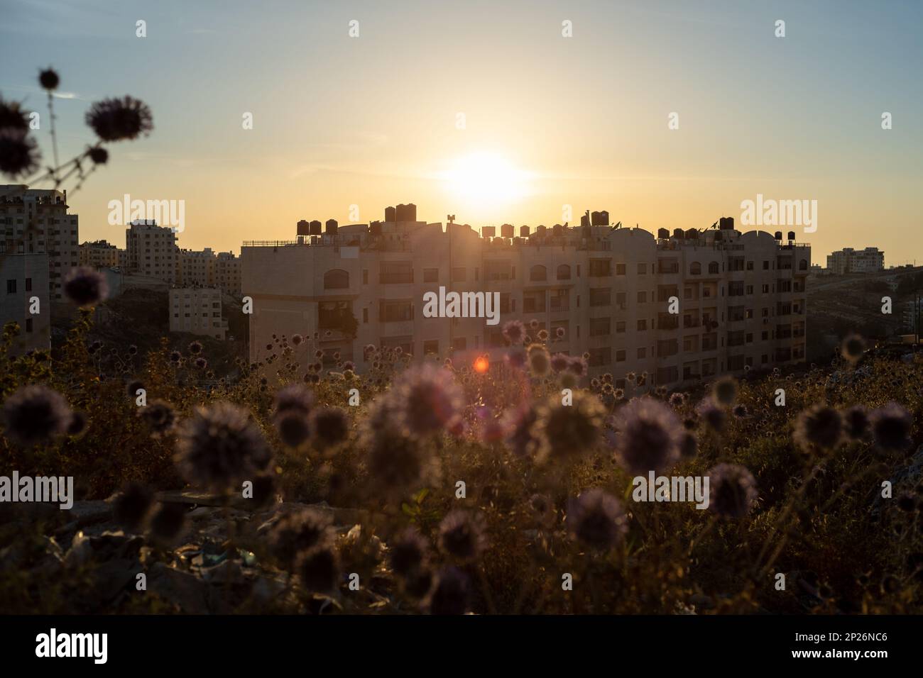 Ramallah Cityscape Facing the Sun at Dusk with High Buildings and Trees ...