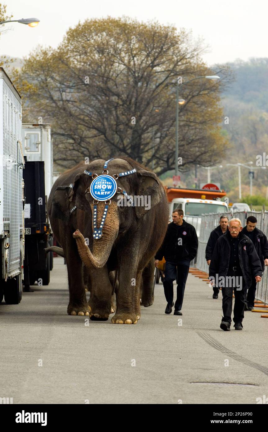 Ringling Brothers and Barnum & Bailey elephants are on the way into the ...