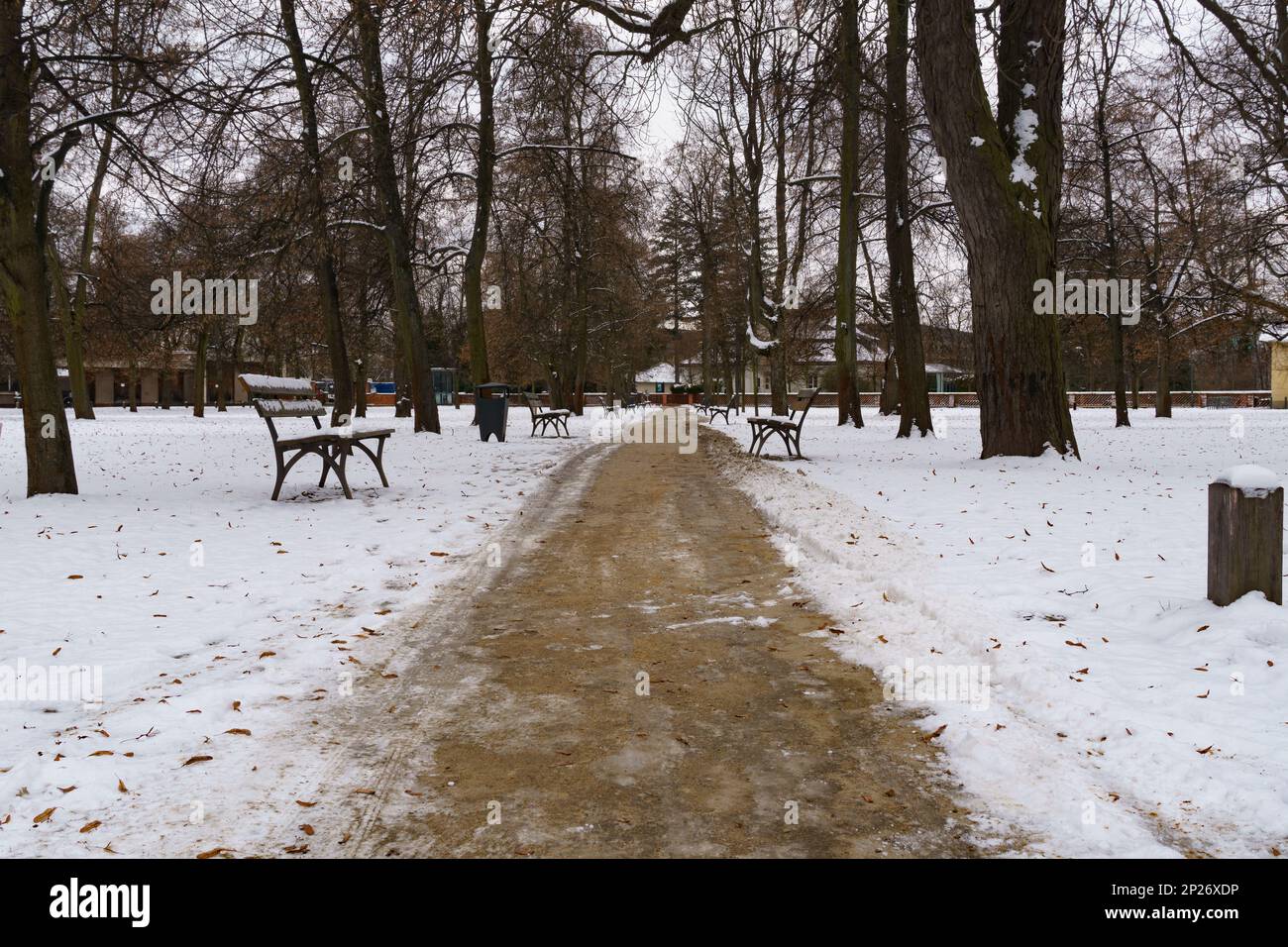 a path in a park in winter with snow Stock Photo - Alamy