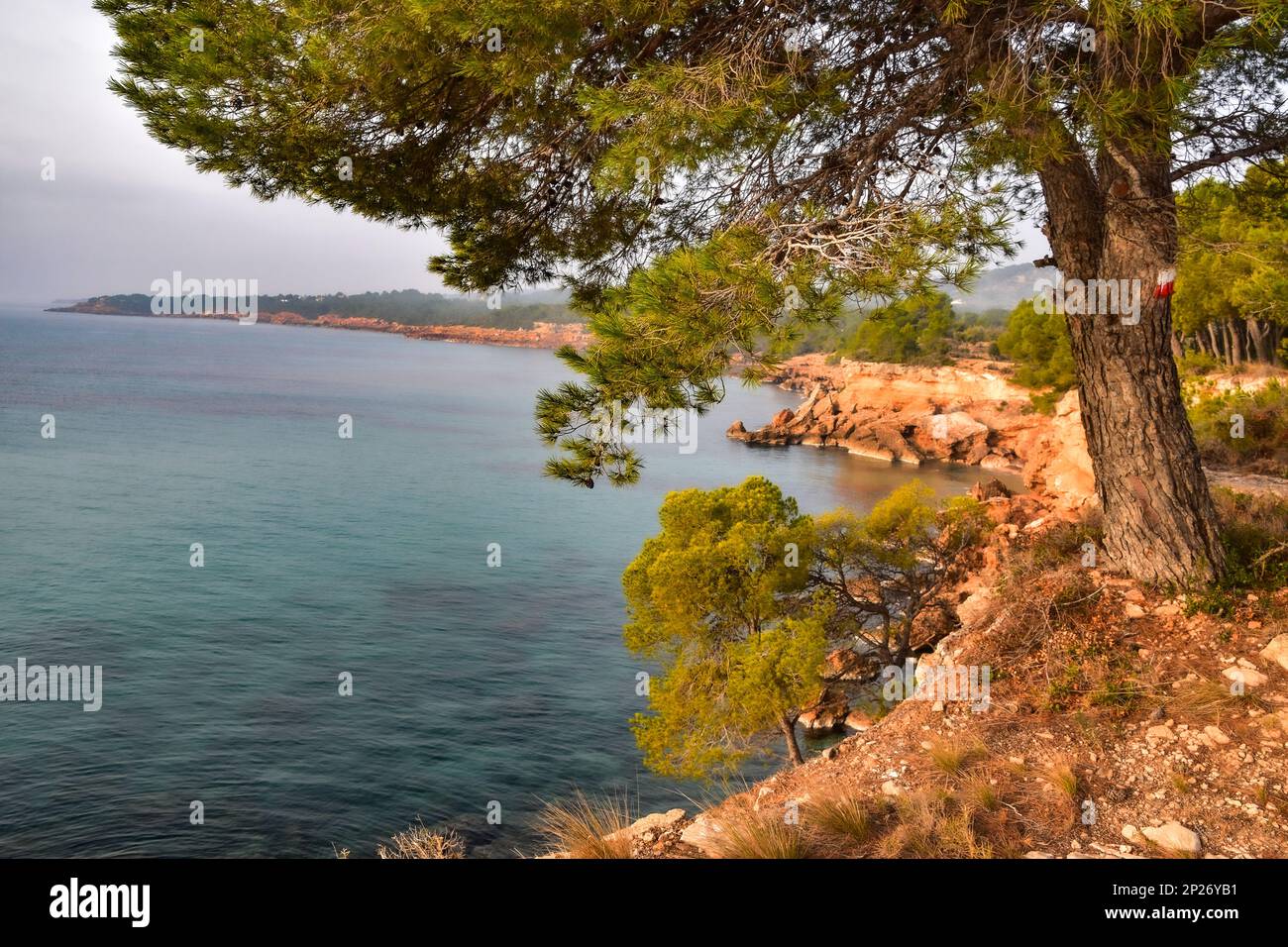 Snorkelling trail hi-res stock photography and images - Alamy