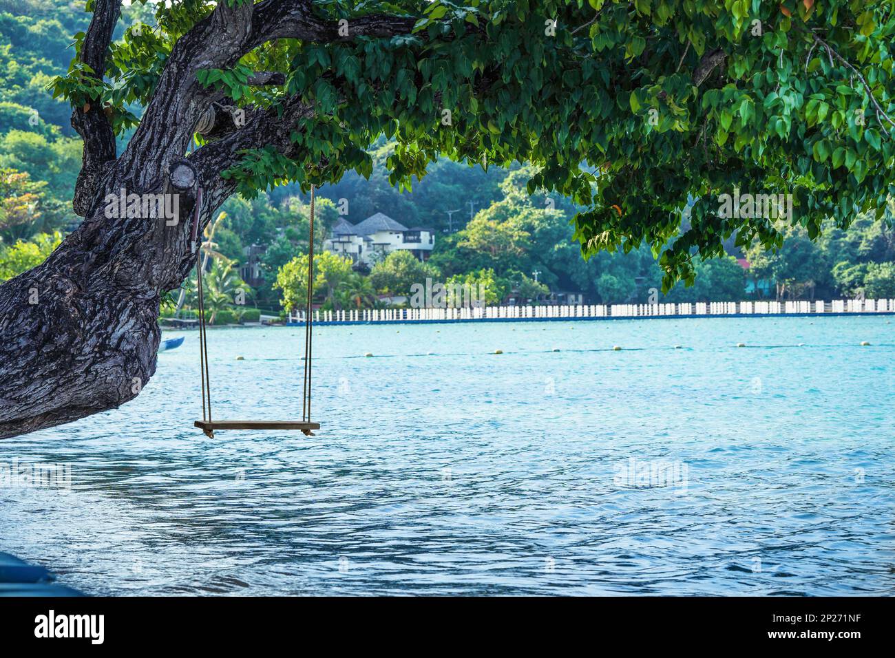 A beach swing on a tropical beach under a large green tree, a summer ...