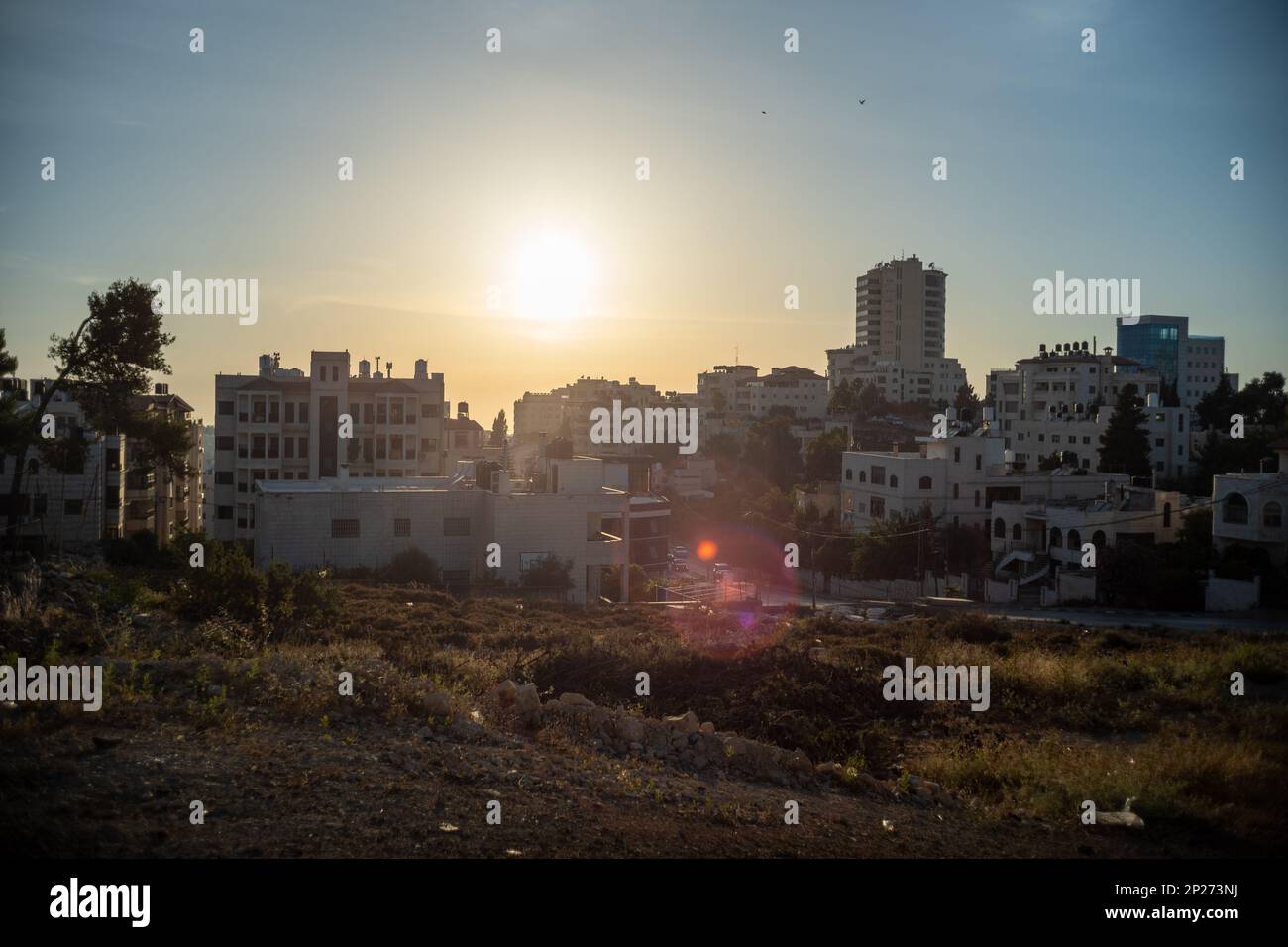 Ramallah Cityscape at Dusk with High Buildings and Trees Facing the Sun ...