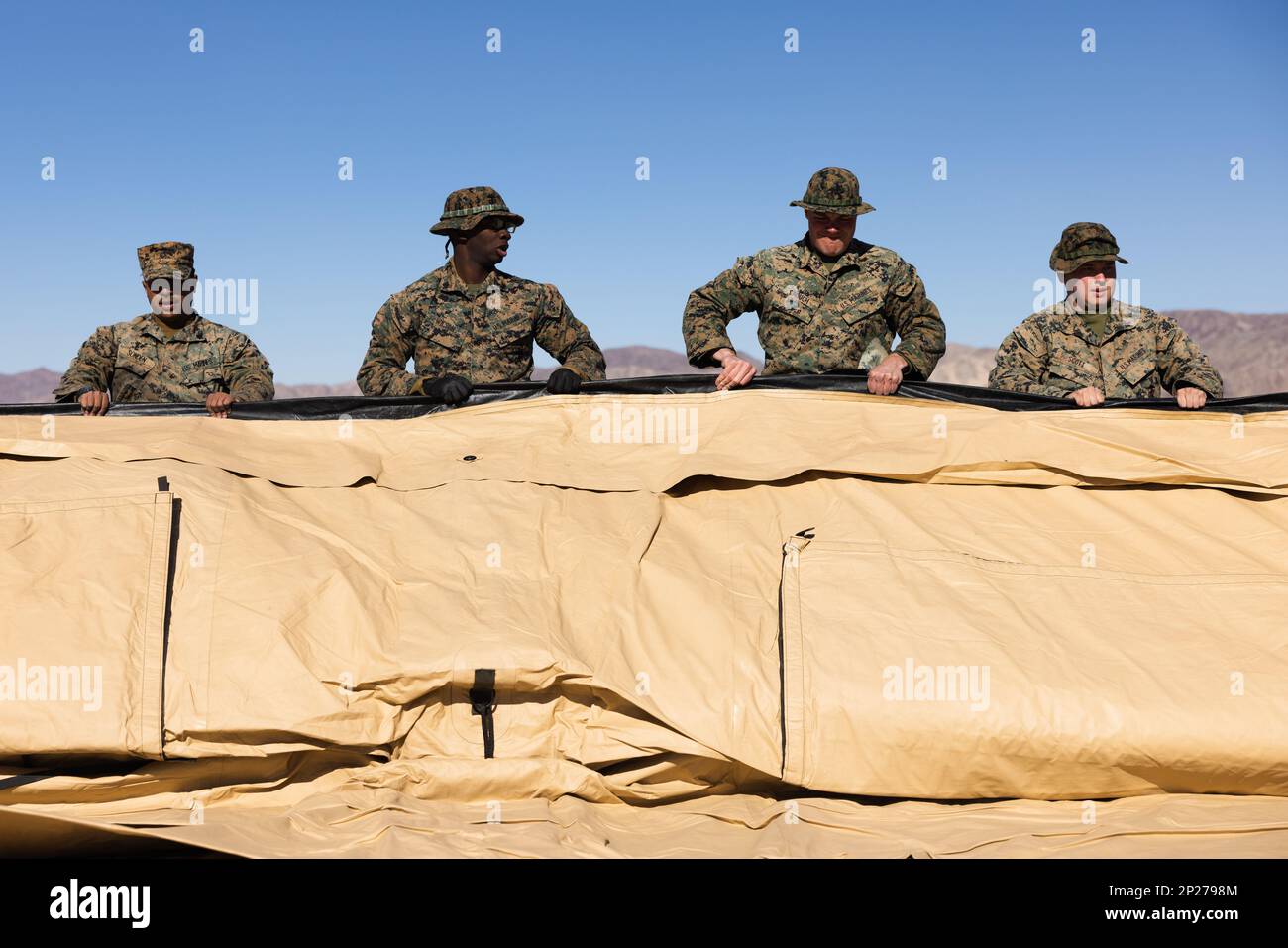 U.S. Marines with 3d Marine Littoral Regiment, 3d Marine Division set ...