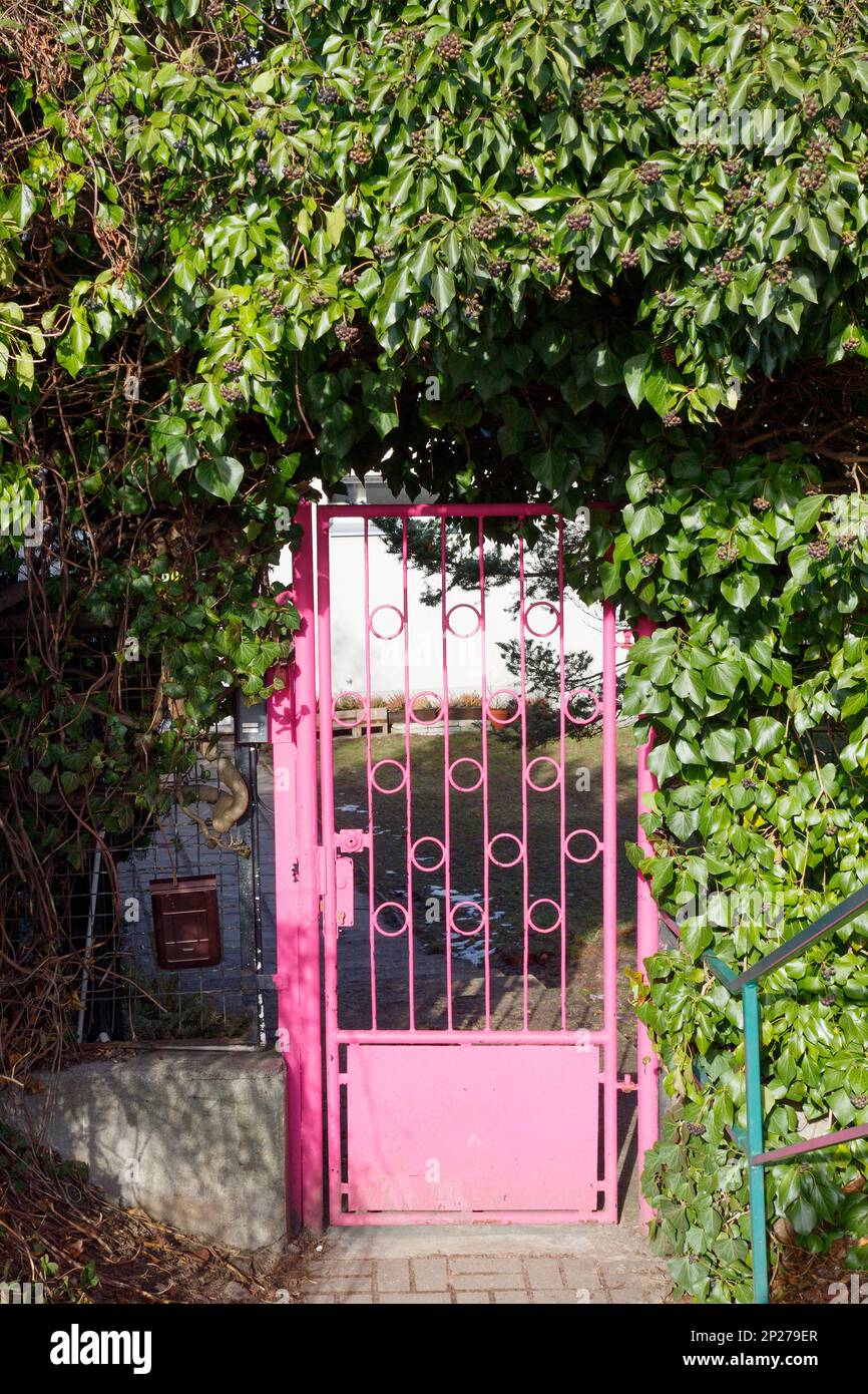 Garden gate surrounded by plants and trees hi-res stock photography and ...
