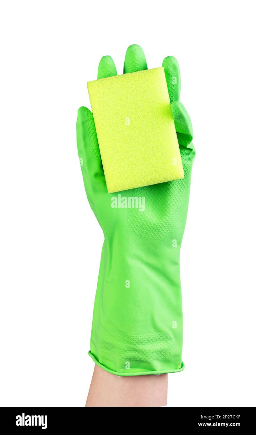 Hand in rubber glove holding washing sponge for cleaning isolated on ...